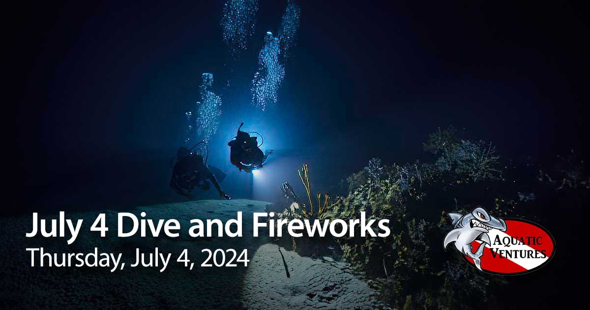 July 4 Twilight Dive and Fireworks • Thursday, July 4, 2024 - Aqautic ...